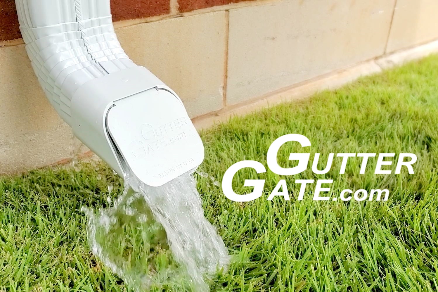 Creating Tranquil Havens: DIY Rain Gardens for Relaxation and Mitigation